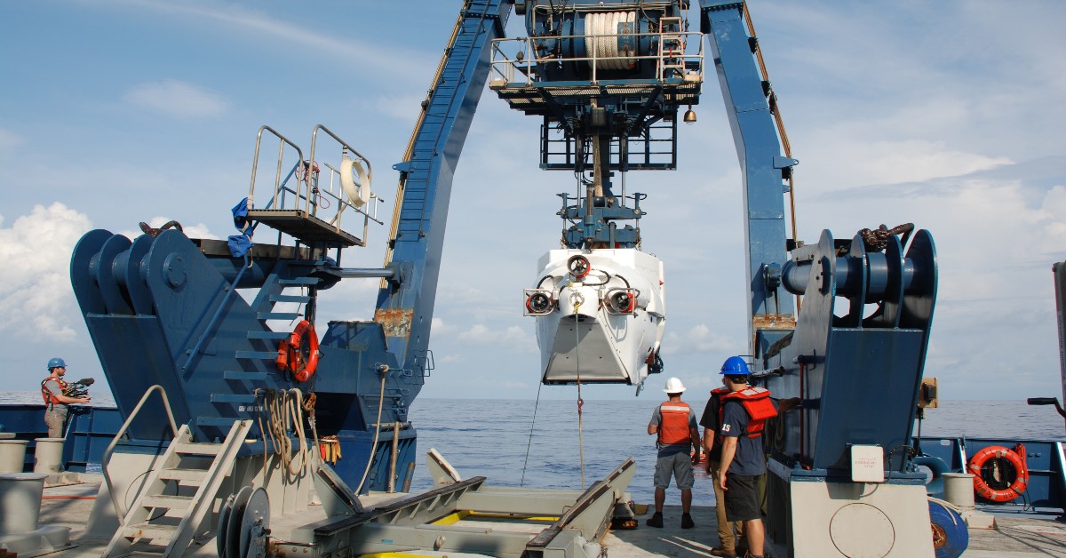 Lengthy 85 Mile Stretch of Coral Reef Discovered