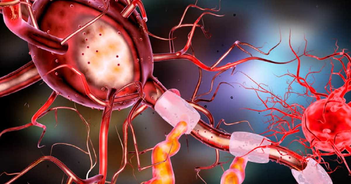 Scientists Shed Light on One of The Biggest Mysteries Behind Brain ...