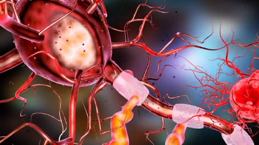Scientists Shed Light on One of The Biggest Mysteries Behind Brain ... Scientists Shed Light on One of The Biggest Mysteries Behind Brain ...
