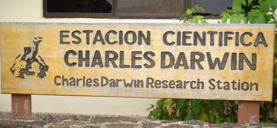 Galapagos Islands: Muse of Darwin's Theory of Evolution