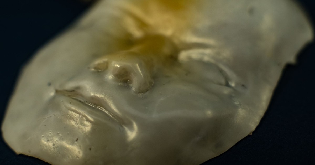 New ‘Mighty Morphing’ Material Shape Shifts on Demand