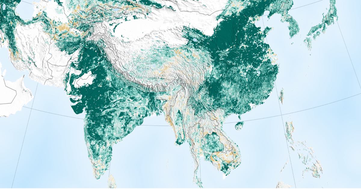 The Earth Is Greener Than Two Decades Ago Says NASA