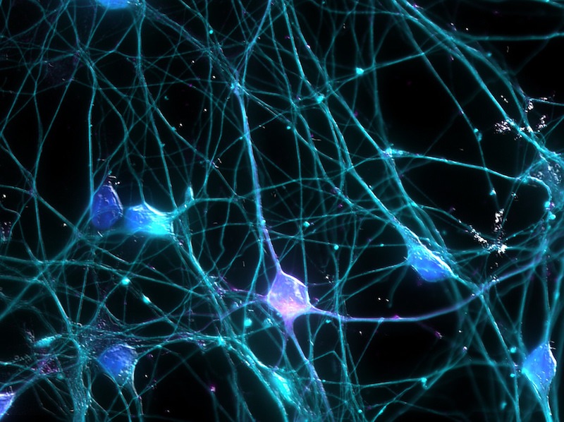 New Artificial Neurons Can `Think` Faster Than You