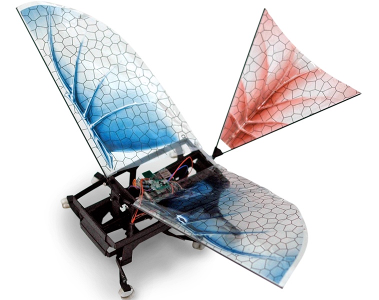 Bug Life: These 5 Robots Were Inspired by Insects