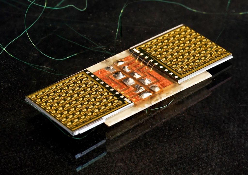 Bug Life: These 5 Robots Were Inspired by Insects