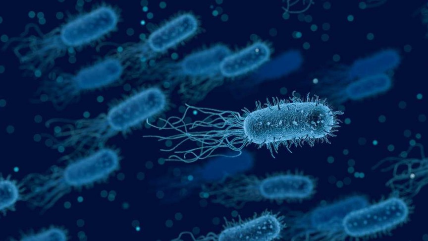 Scientists Engineered Spacesuits for Bacteria Set to Live in Space Colonies