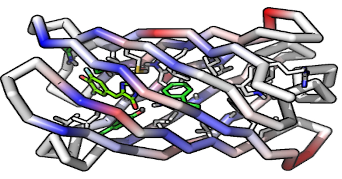 Scientists Create First Ever Molecule-Binding Protein From Scratch