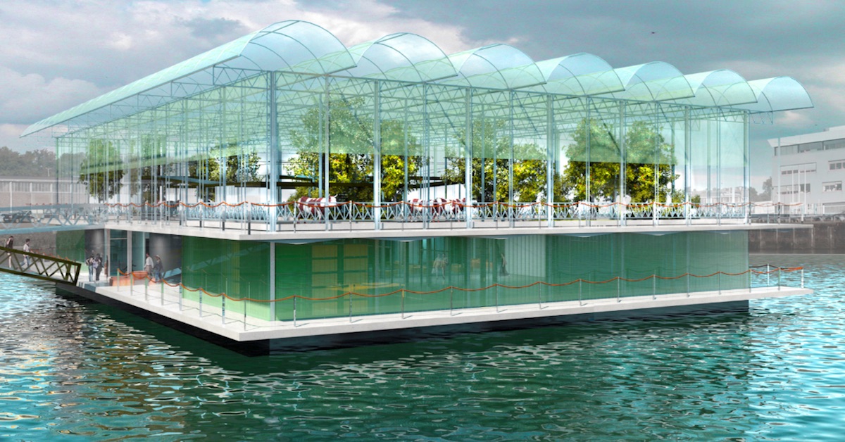 World's First Floating Dairy Farm Is Set to Open in the Netherlands