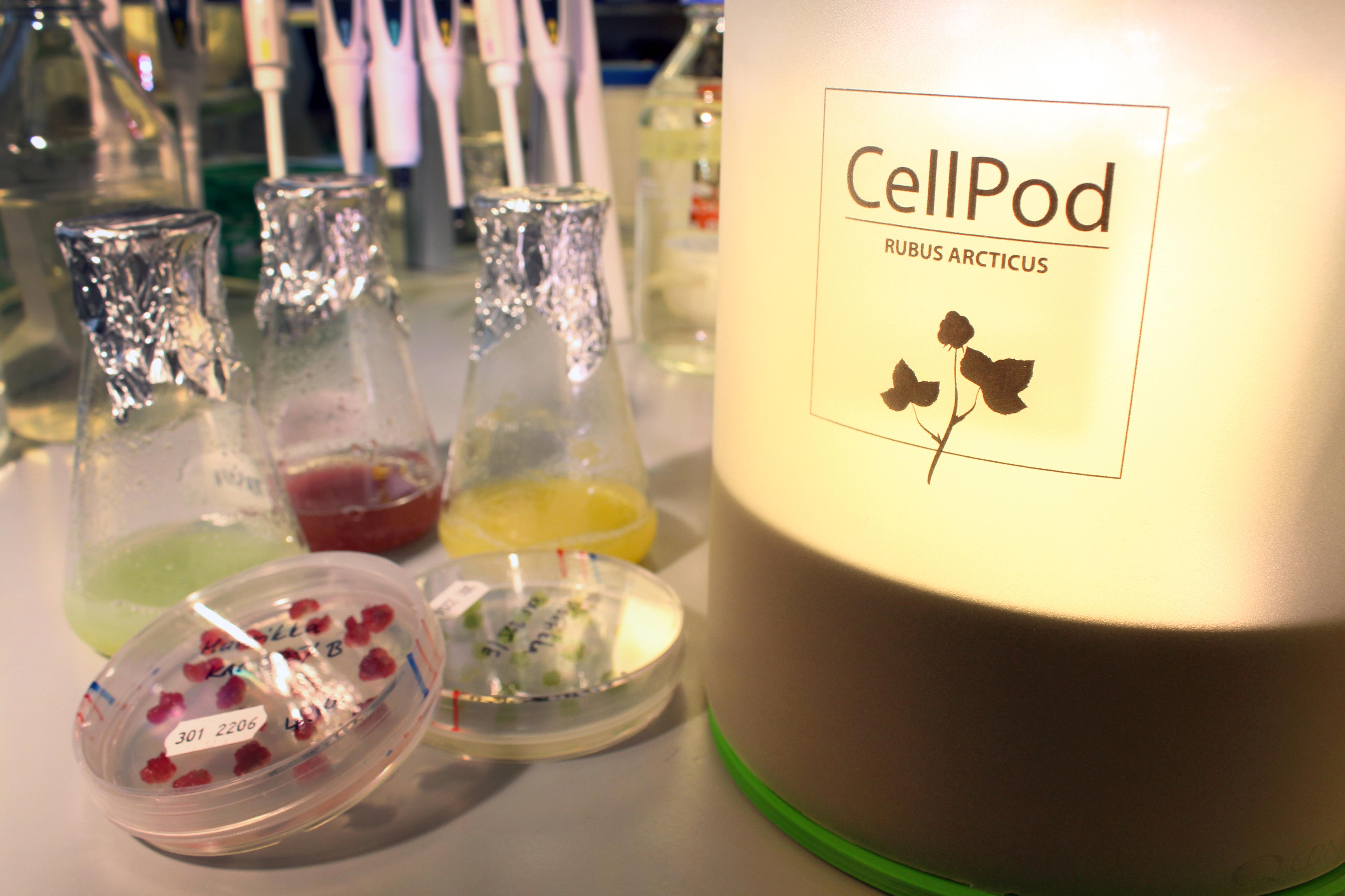 CellPod: The 3D-printed Bio-Tech Gadget Grows Plants by Cells at Home