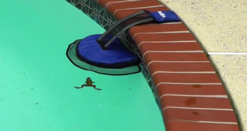 Meet FrogLog: A Tiny Little Inflatable Ramp That Saves Animals from ...