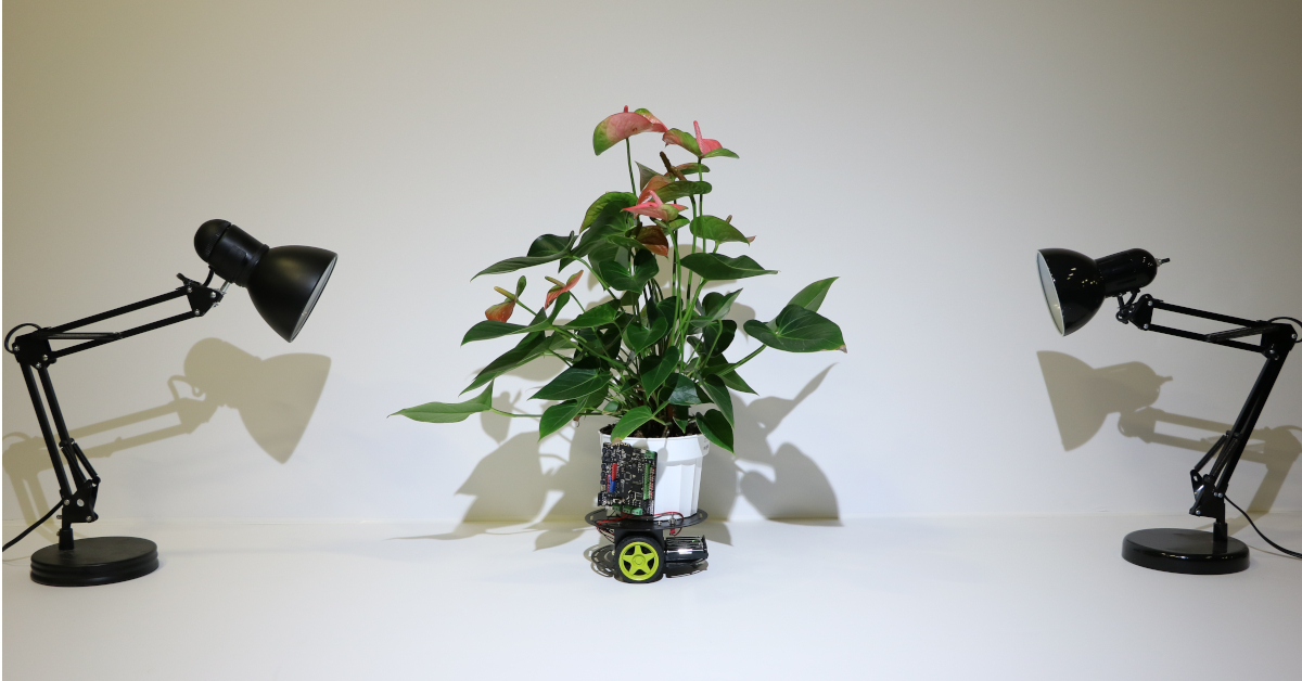 MIT Researchers Develop a Cyborg Houseplant That Goes After the Light