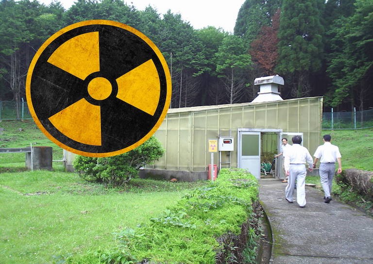 Atomic Gardens: How Plants Were Bred With Gamma Radiation