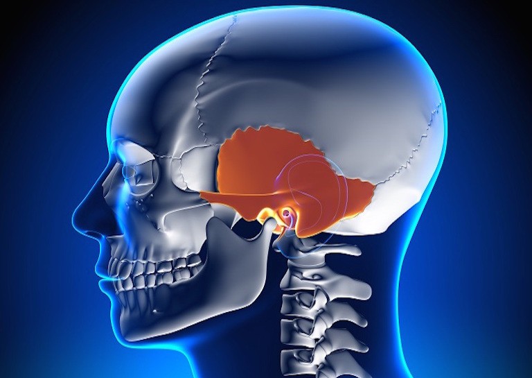 This Robotic Drill Can Perform Complex Cranial Surgeries 50 Times Faster