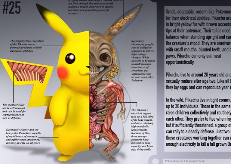 This Imaginative Anatomy Book Reveals Exactly What's Inside Your ...