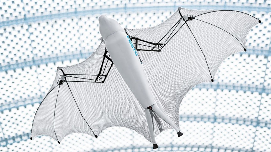 This Bionic Flying Fox Soars Like a Real Bat