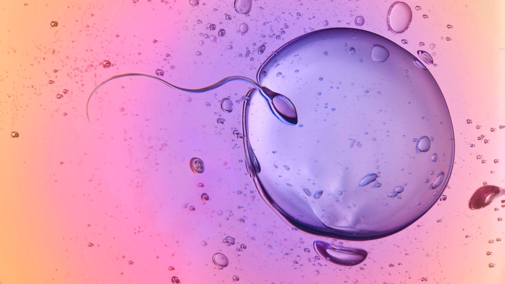 Male Contraceptive Pills: A birth control pill for men is finally ...