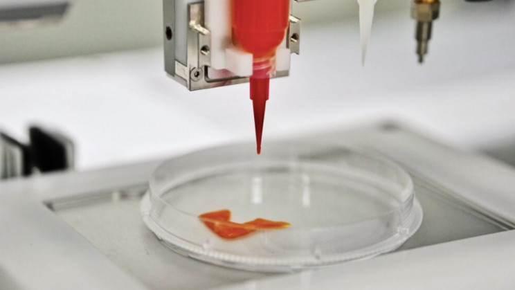 Ein chinesisches Biotech-Startup könnte die besten Preise für ...