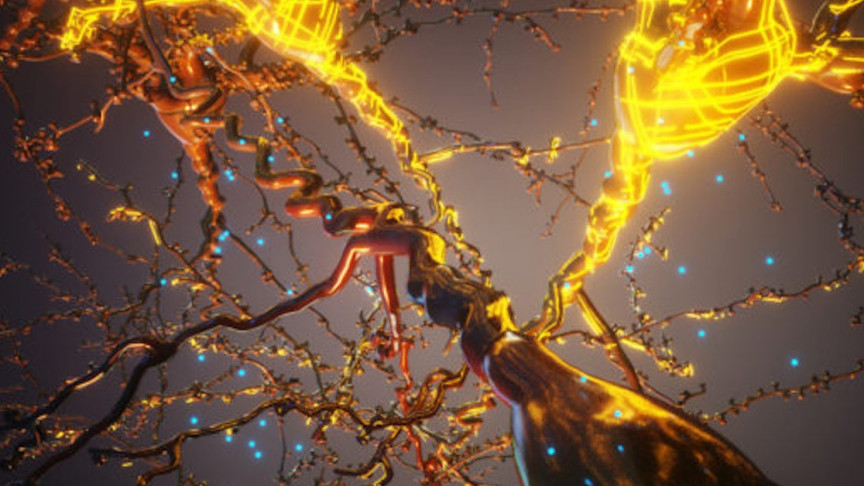 Scientists Reprogram Cells to Carry out Functions inside the Body