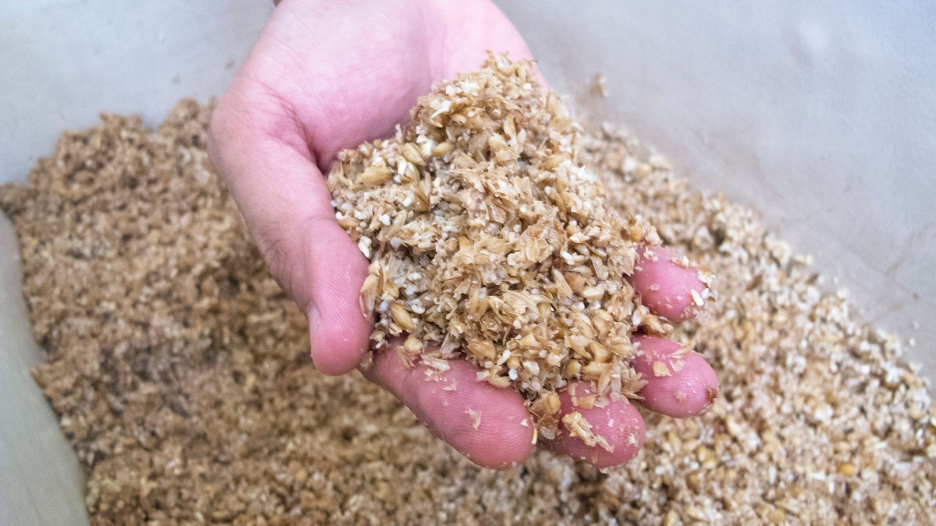 Beer Waste Can Now Be Turned Into Biofuel