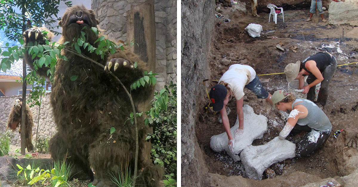 'Death Pit' Reveals Giant Sloths May Have Died From Poopy Water