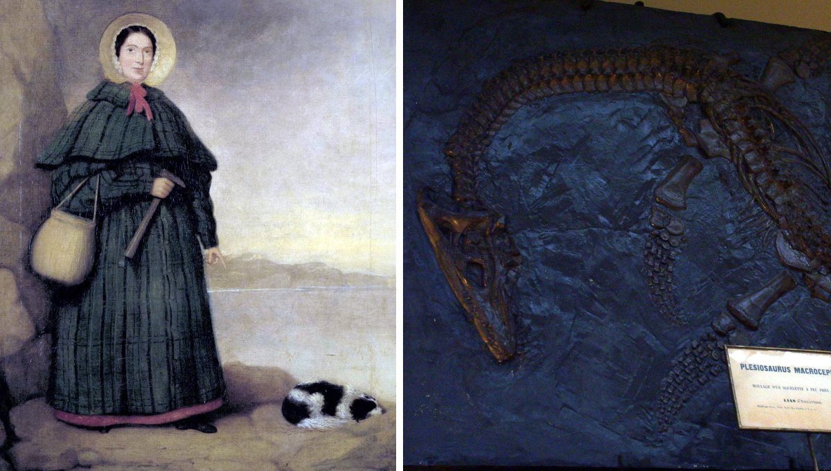 The Woman Who Discovered the Jurassic Coast: Mary Anning | IE