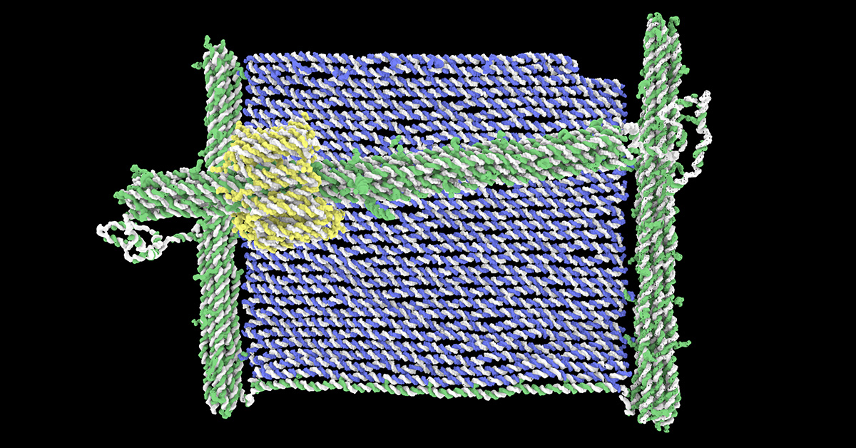 This microscopic printer is made of 600 strands of DNA that put ...