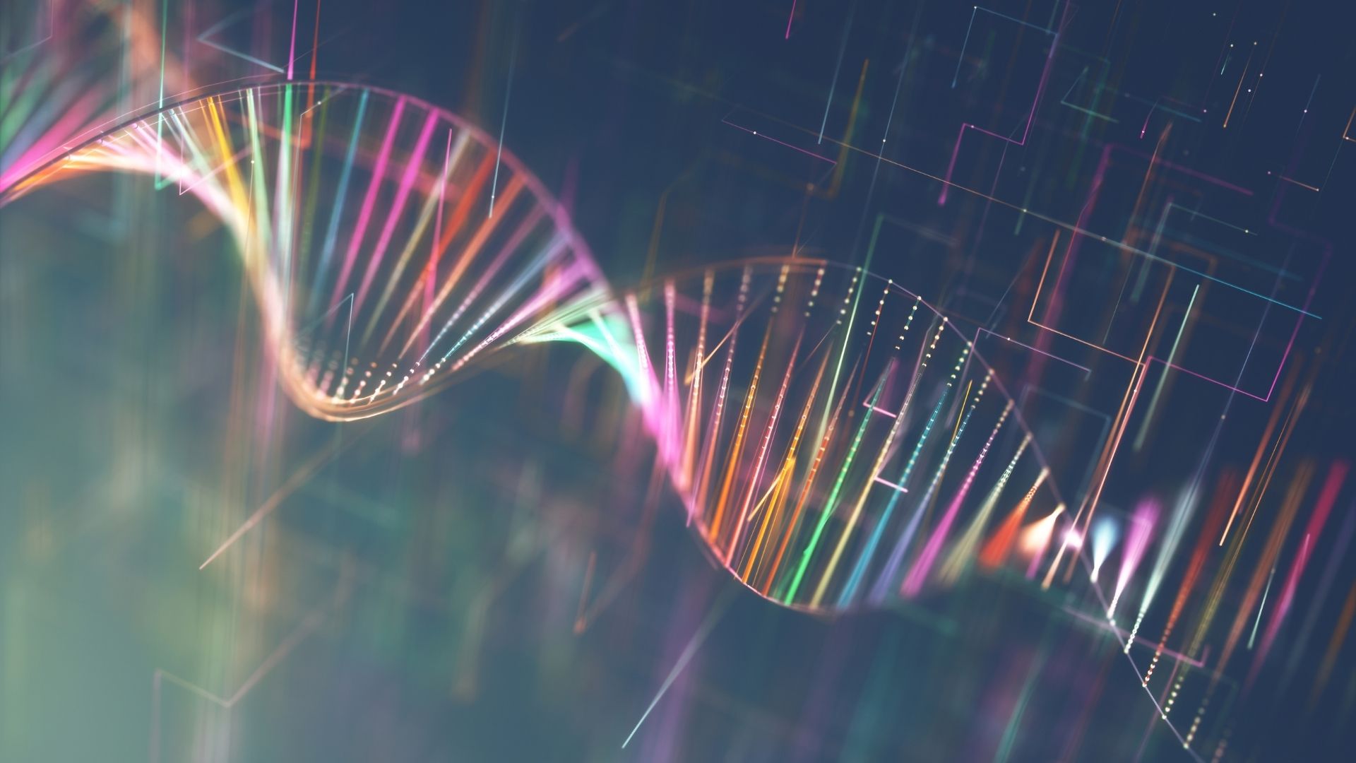 Study Collects Animal DNA From Air For the First Time | IE