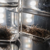 Innovation - Interesting Engineering