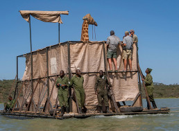 Culture News | Cultural News in Art, Success Stories, and Culture ...