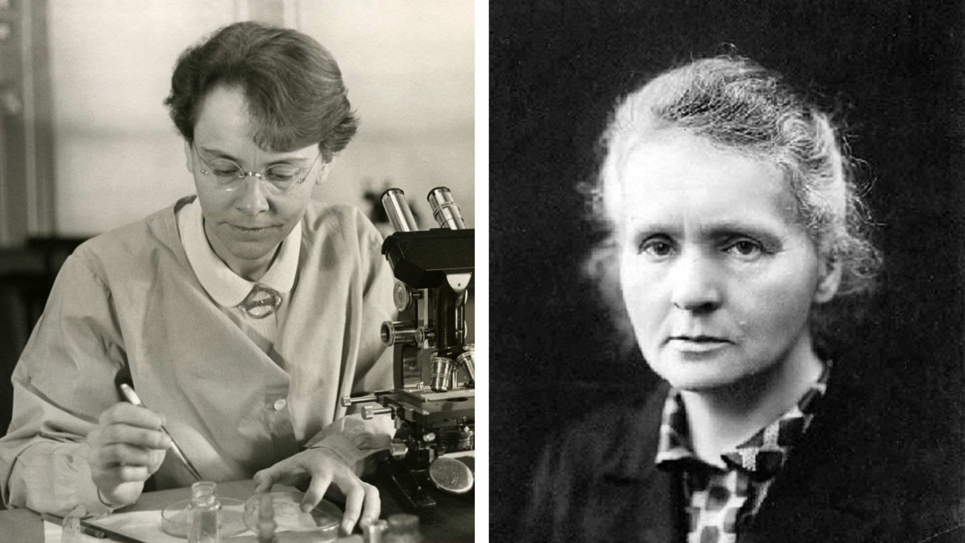 15+ greatest women in STEM