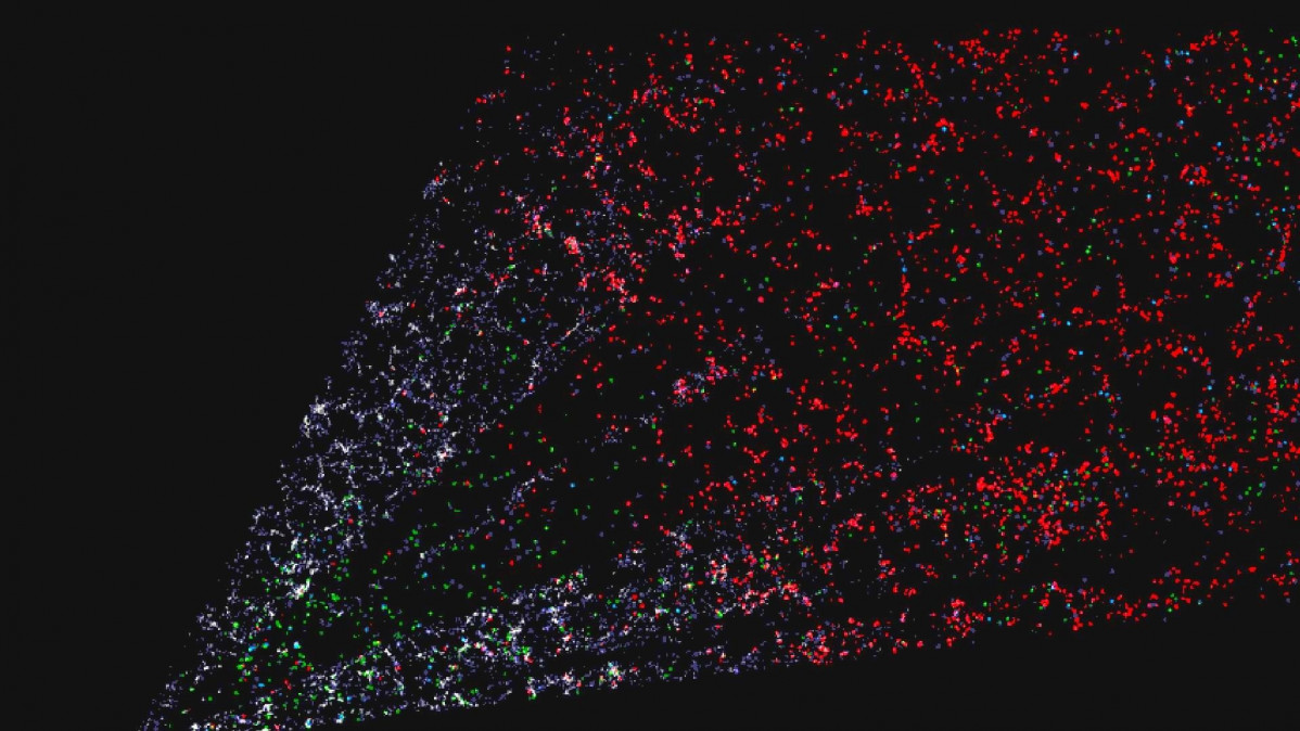 Los astrónomos crean el mapa 3D más grande jamás visto del cosmos ...