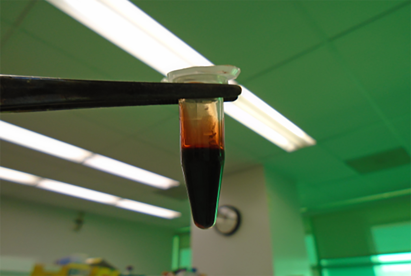 Scientists produce renewable jet fuel from common soil bacteria