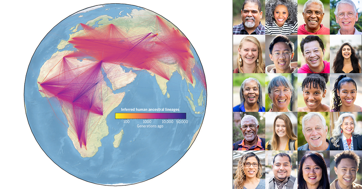 Scientists have created the first-ever worldwide family tree