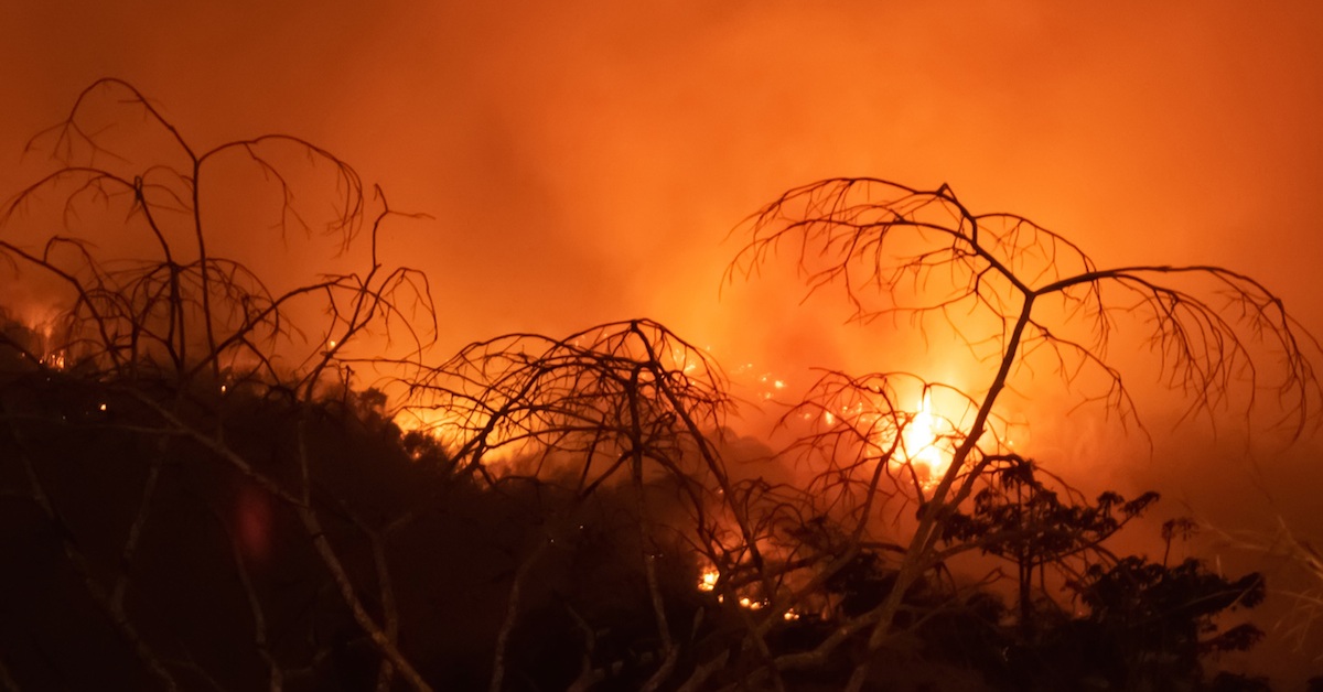 NASA Says Amazon Fires Were Also Fuelled by Water-Stressed Plants