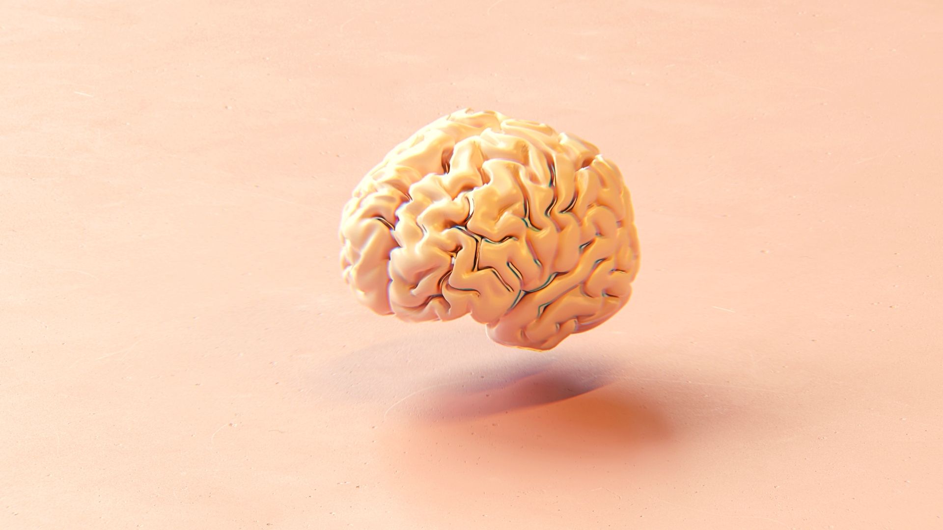 Surprise! Scientists Grew Tiny Brains With 3D Printing | IE