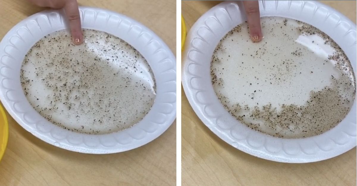 Teacher Uses Clever Experiment to Show Kids How Washing Hands Fights ...