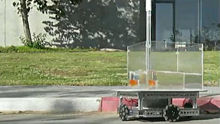 Scientists Got a Goldfish to Drive on Land for Rewards, Again ...