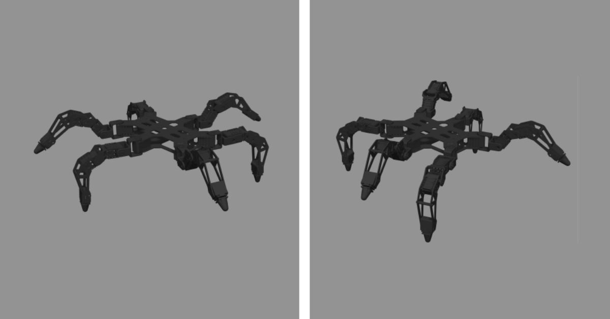 Researchers Successfully Recreate Astrocyte Cell Function in a Hexapod ...