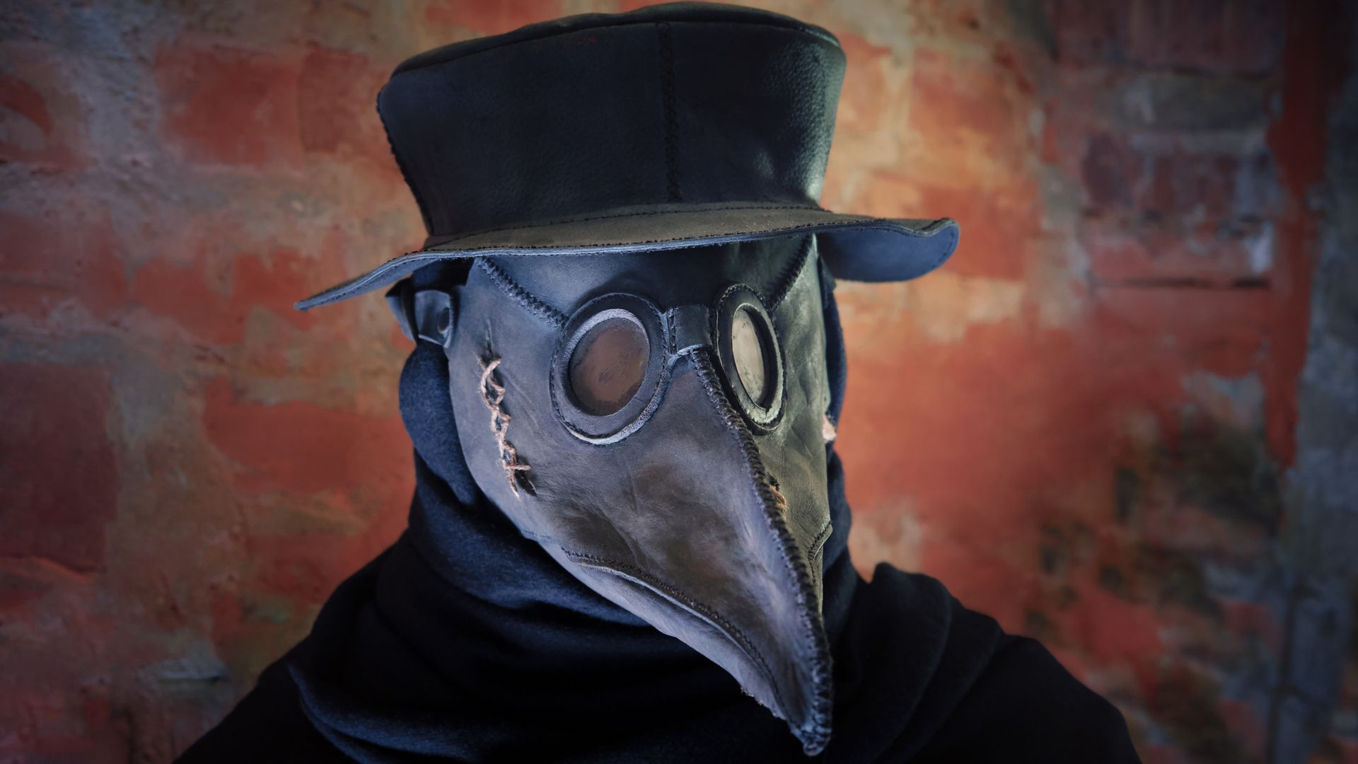 Study reveals the origin of the Black Death, the pandemic that killed ...