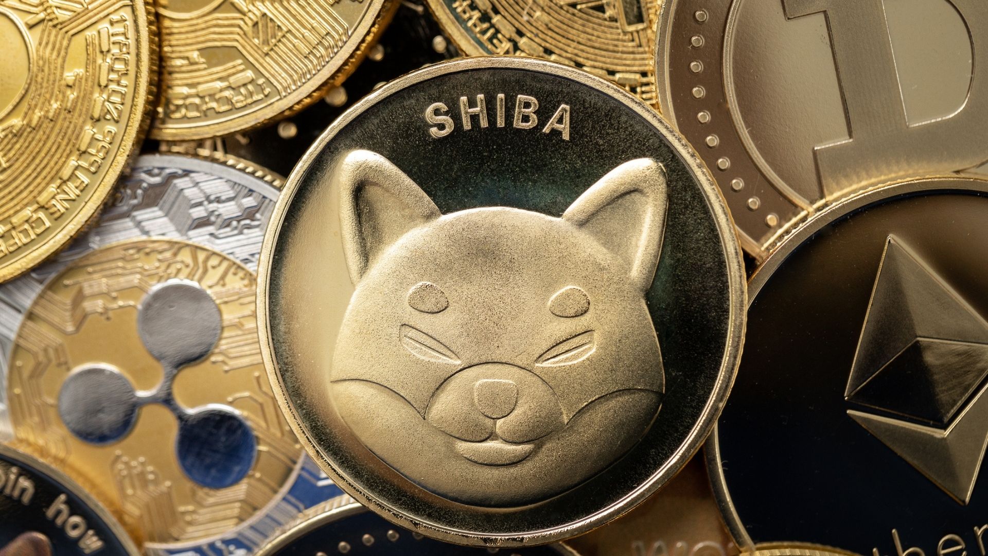 Shiba Inu Metaverse: Shiba Inu will soon build its own metaverse
