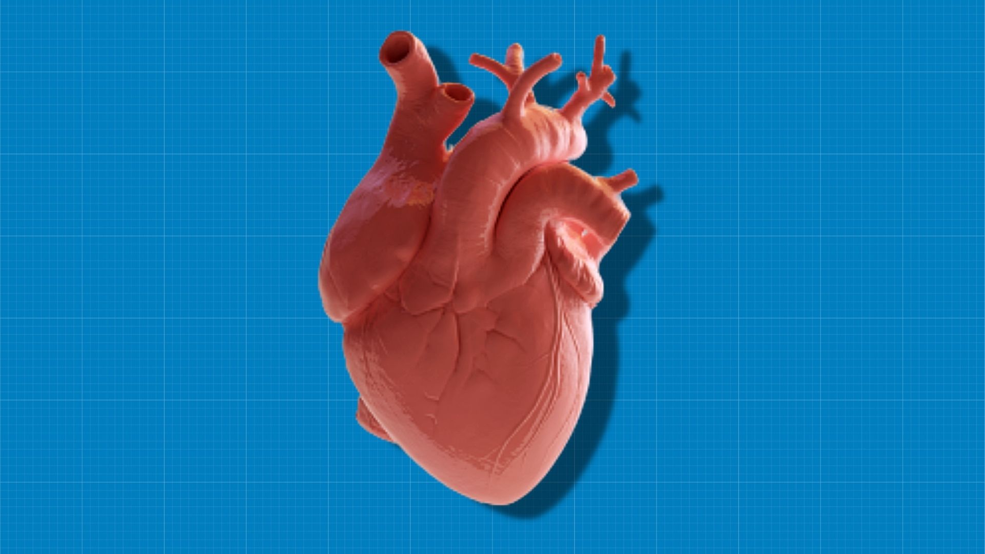 Lab-Grown Mini-Hearts Mimic 25-Day-Old Human Embryo's Heart | IE