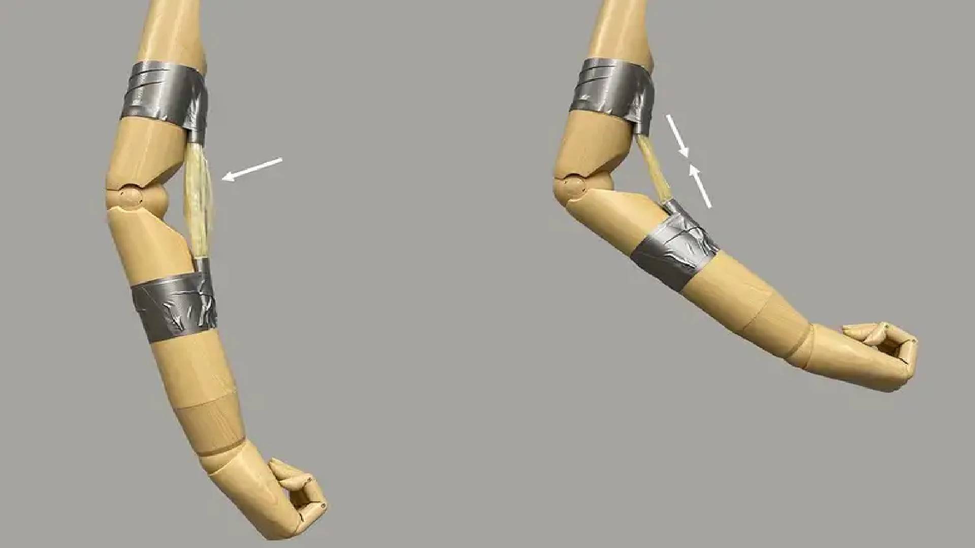 Heat-Activated Plastic Muscles Can Lift 5000 Times Their Weight