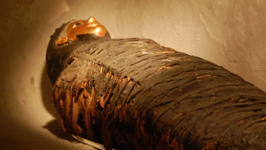 Die ungewöhnlichen Mumifizierungsbeispiele spiegeln die Begeisterung ...