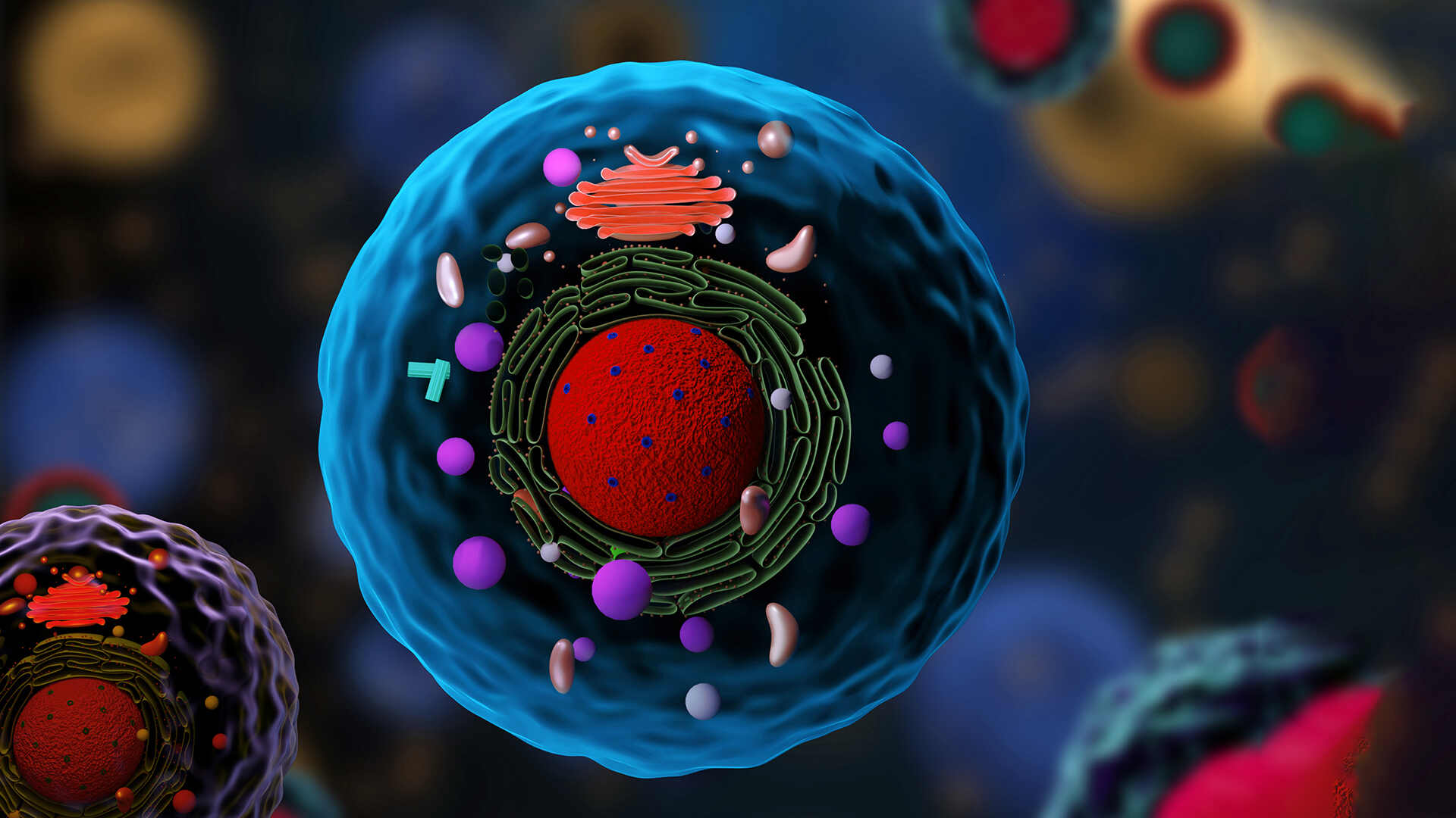 Newly discovered viruses can offer clues about the rise of complex life ...