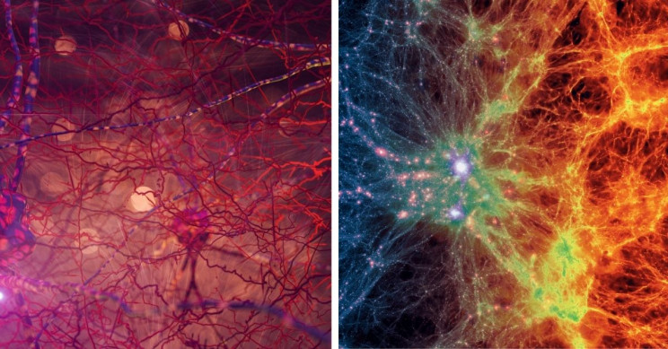 Human Brain Bears a Surprising Resemblance to Universe | IE