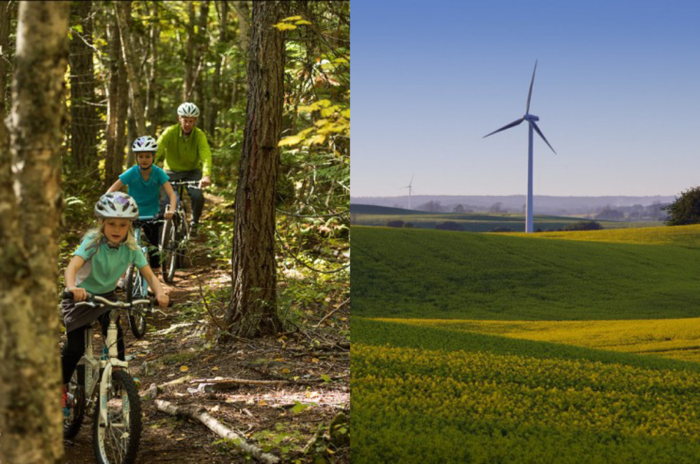 8 Ways to Optimize Your Household Energy Usage