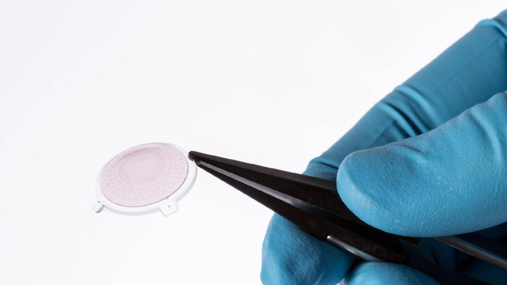 New Retinal Implants May Give Artificial Vision to the Blind | IE