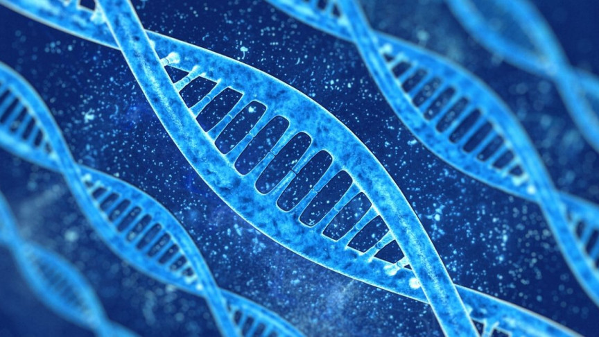 Scientists Develop New Scalable DNA-Based Data Storage System
