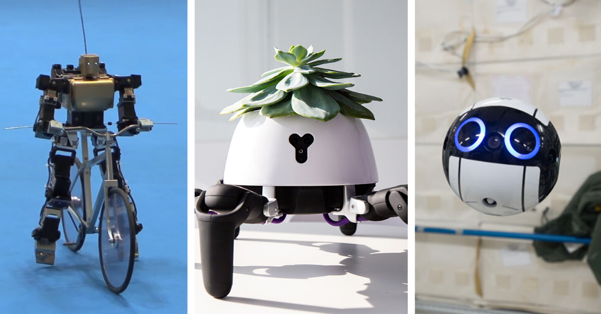 7 Heart-Melting Robots That Hopefully Won't End Humanity