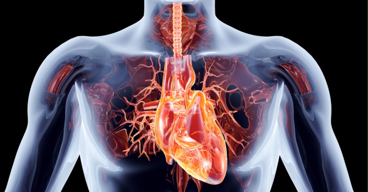 Space Tech for Hearth Health: Spinoff NASA inventions